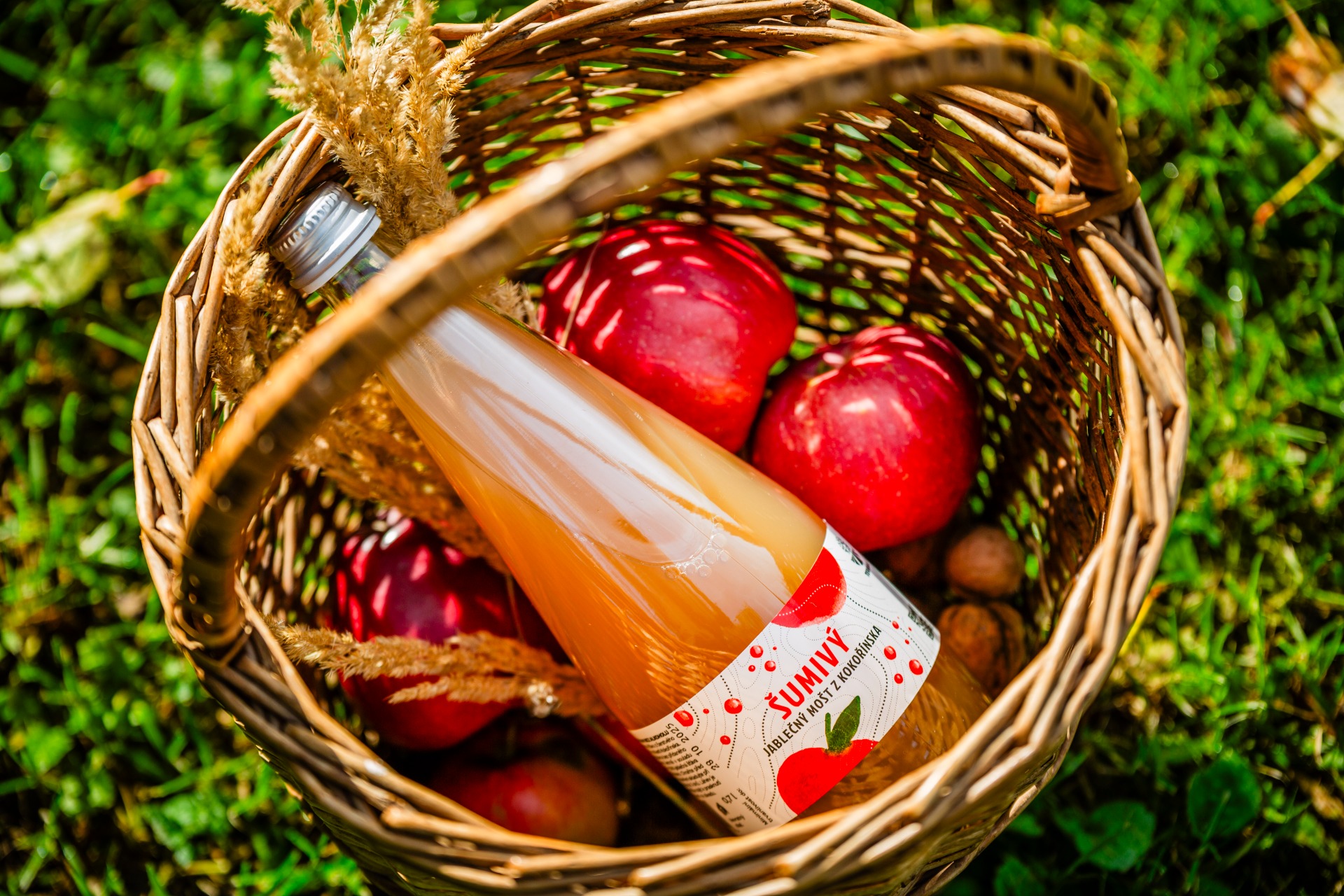 Šumivý 100% jablečný mošt 0,7l :: terrami eshop